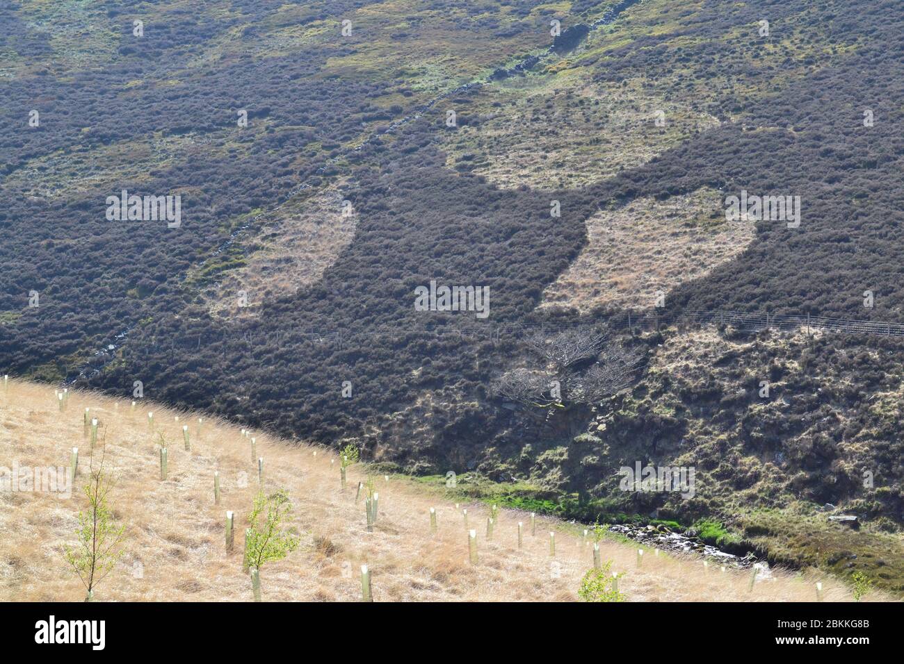 A Walk in the High Peak Stock Photo - Alamy