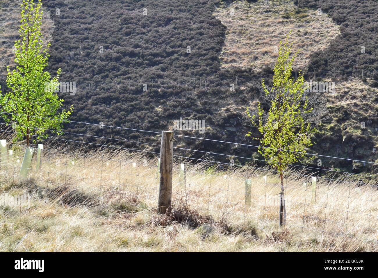 A Walk in the High Peak Stock Photo - Alamy