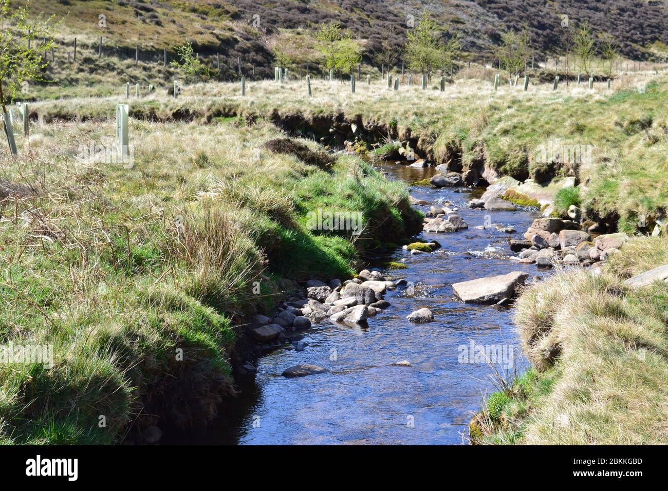 A Walk in the High Peak Stock Photo - Alamy