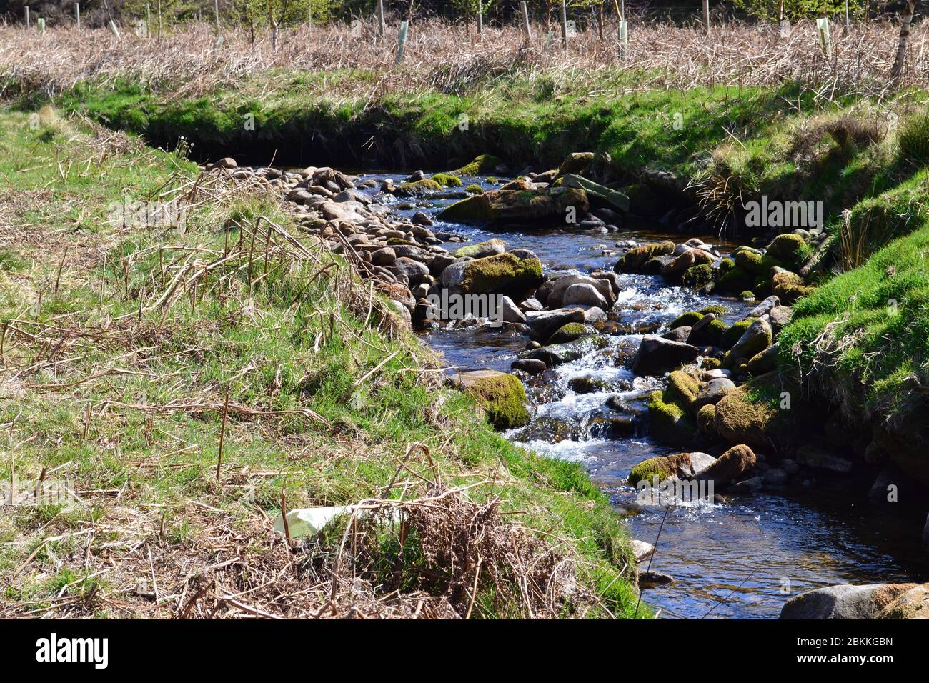 A Walk in the High Peak Stock Photo - Alamy