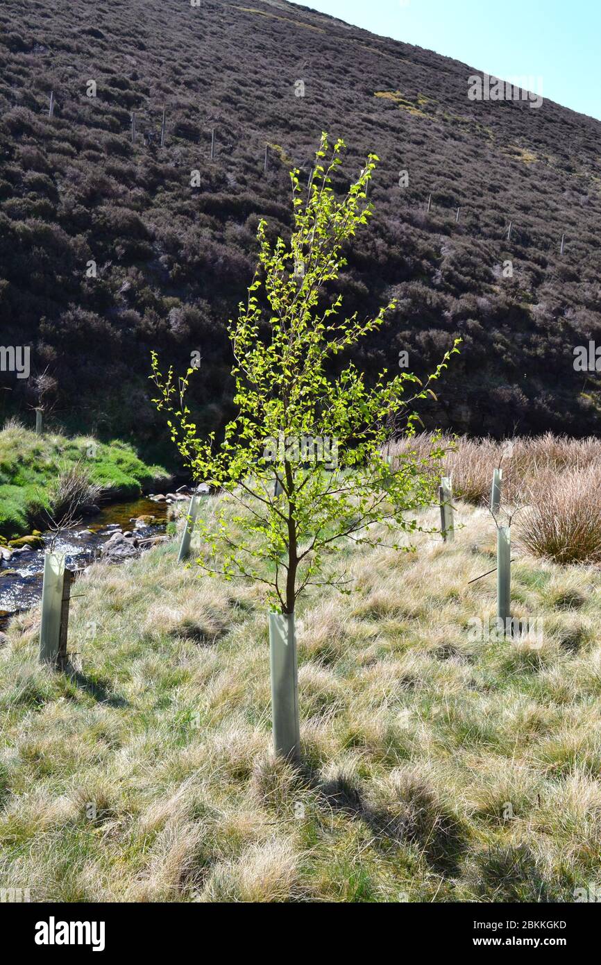 A Walk in the High Peak Stock Photo - Alamy