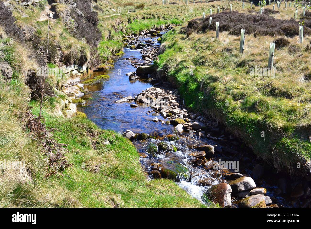 A Walk in the High Peak Stock Photo - Alamy