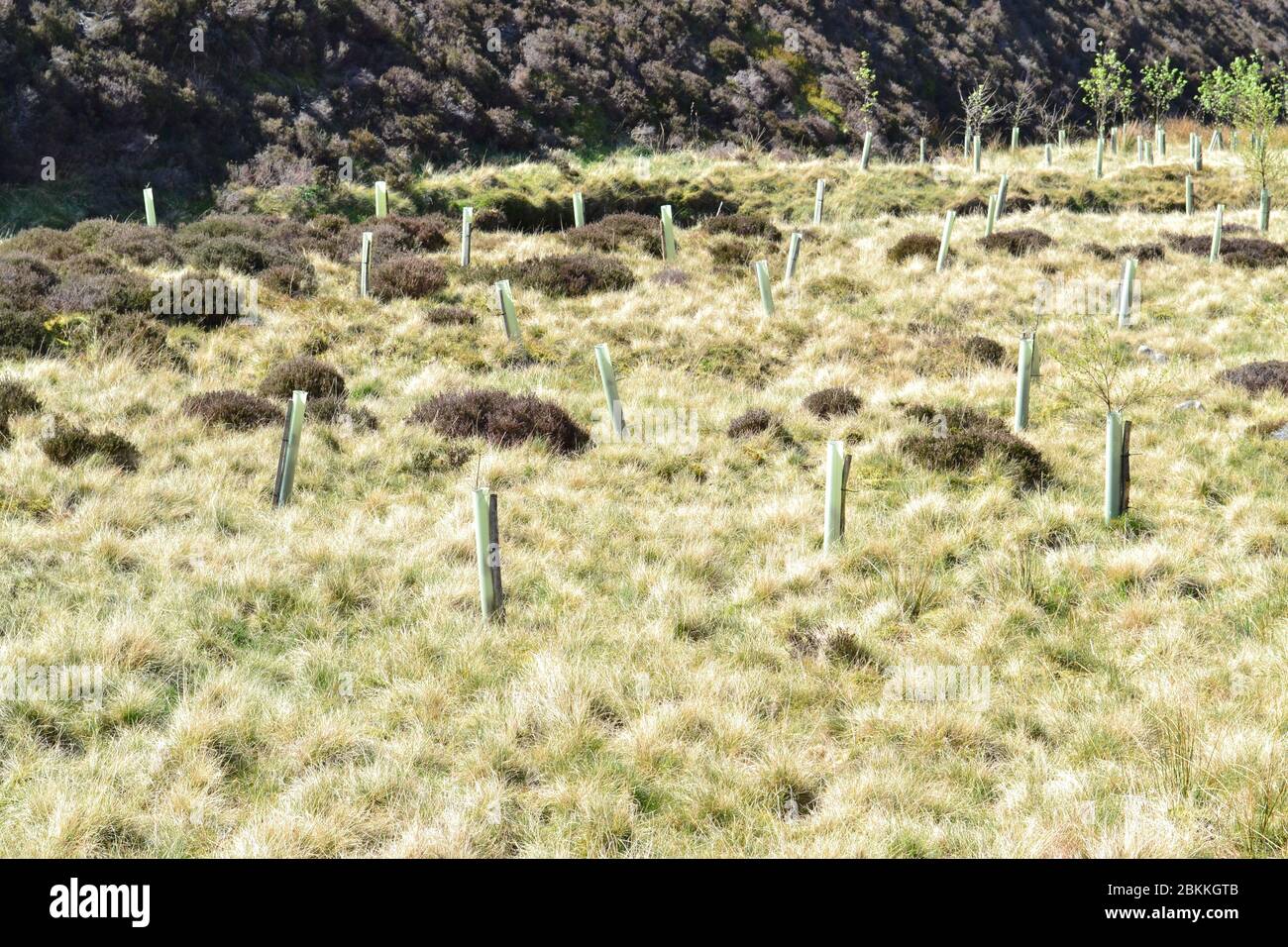 A Walk in the High Peak Stock Photo - Alamy