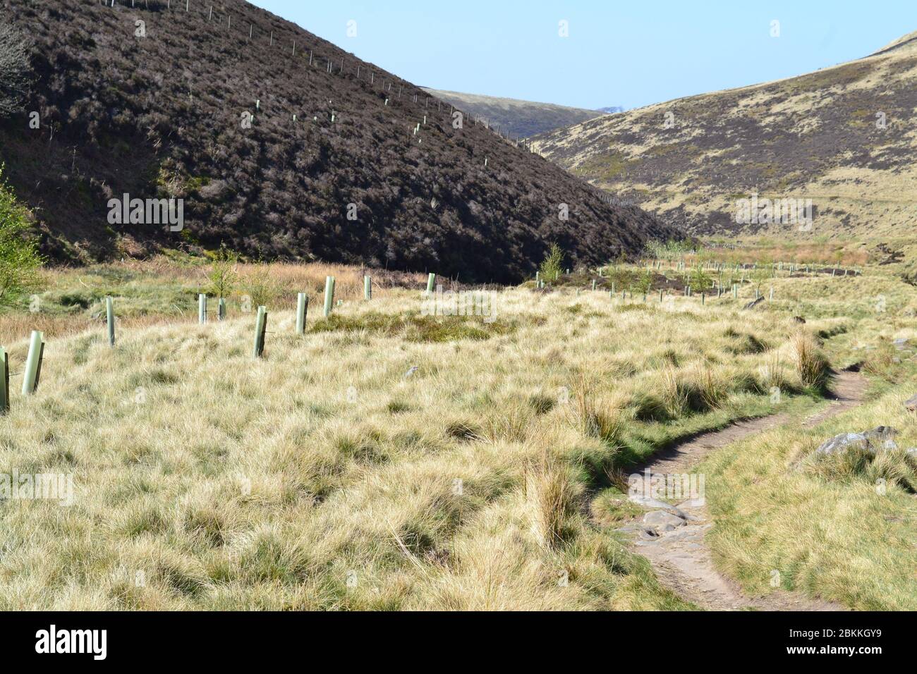 A Walk in the High Peak Stock Photo - Alamy
