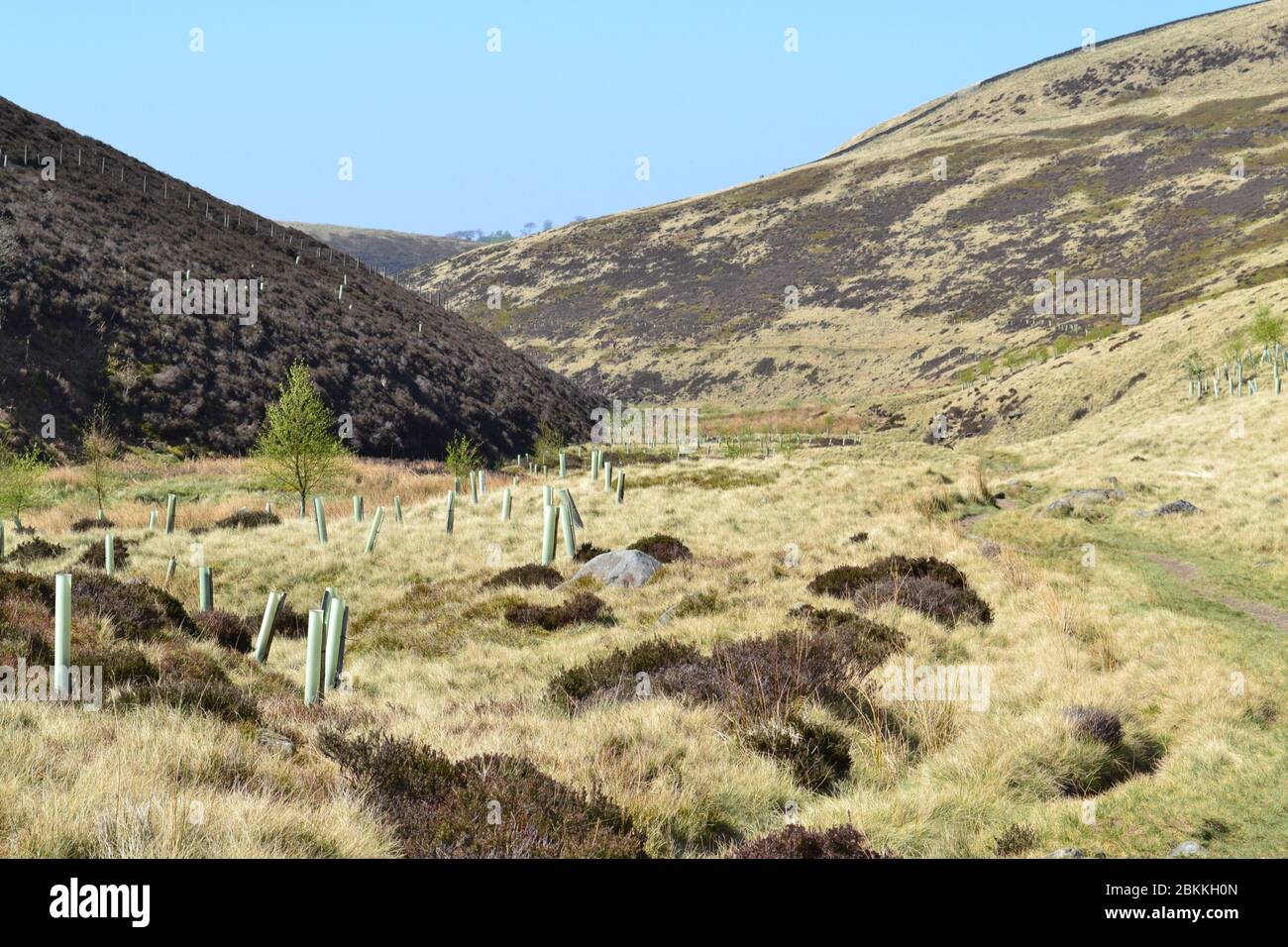 A Walk in the High Peak Stock Photo - Alamy