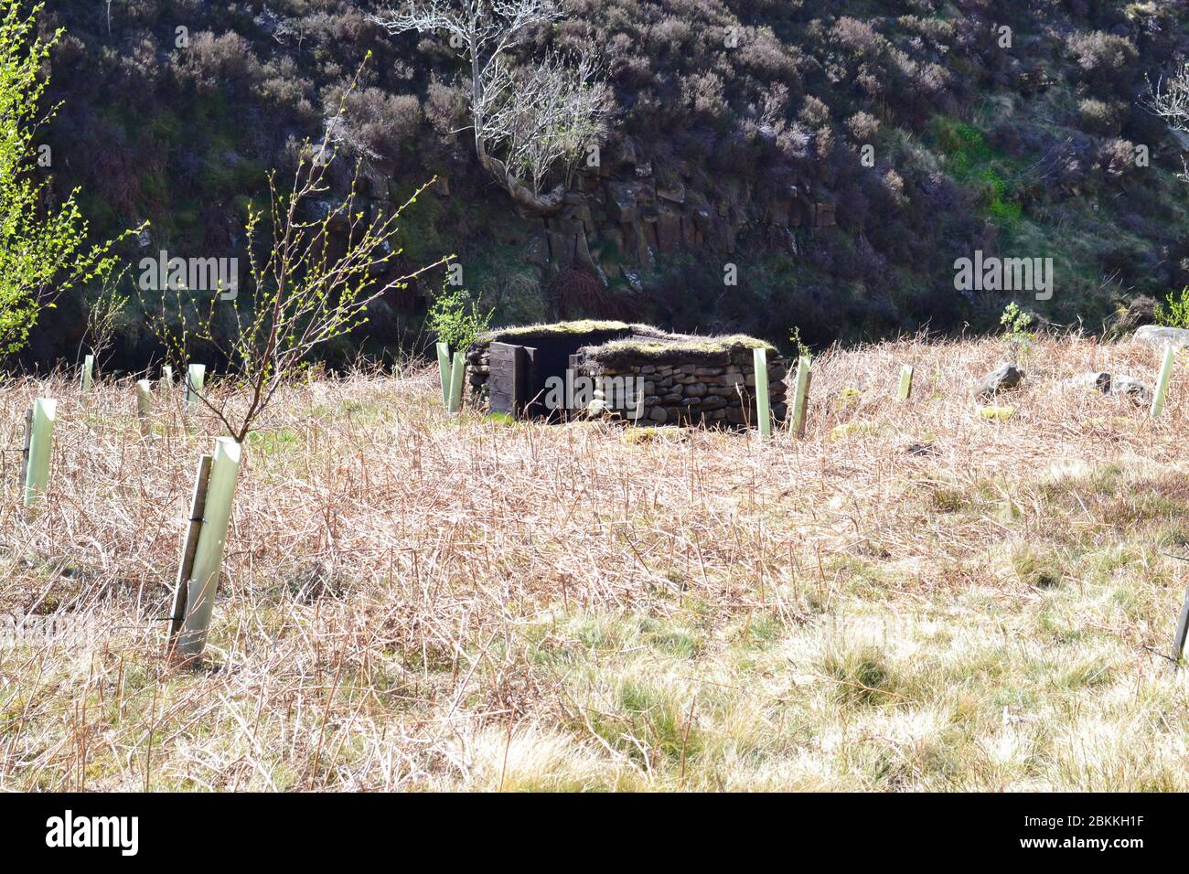 A Walk in the High Peak Stock Photo - Alamy