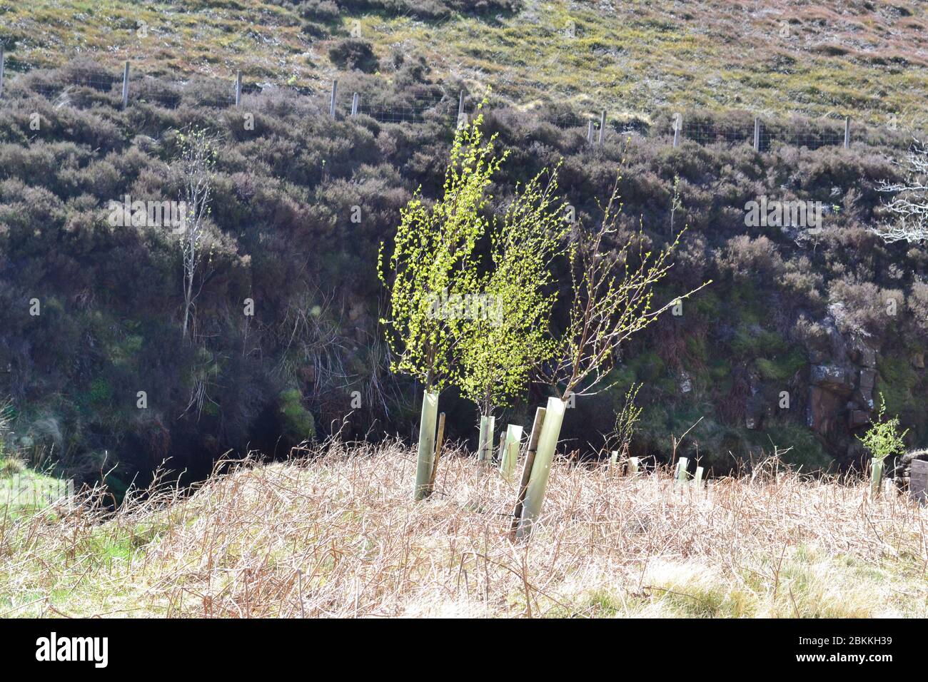 A Walk in the High Peak Stock Photo - Alamy