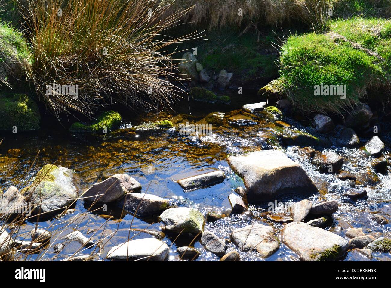 A Walk in the High Peak Stock Photo - Alamy