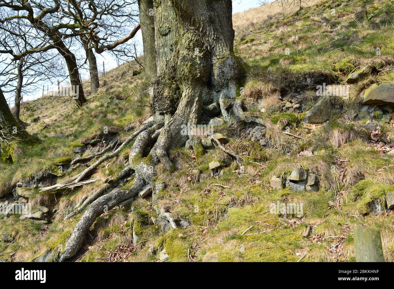 A Walk in the High Peak Stock Photo - Alamy