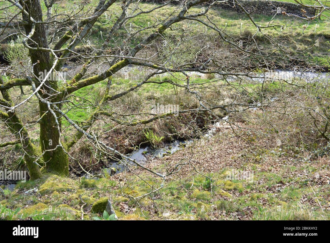 A Walk in the High Peak Stock Photo - Alamy