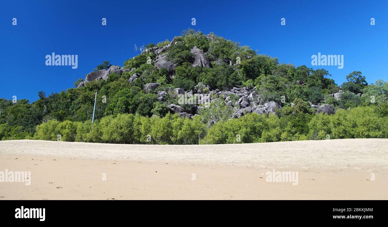 Outback plants hi-res stock photography and images - Alamy