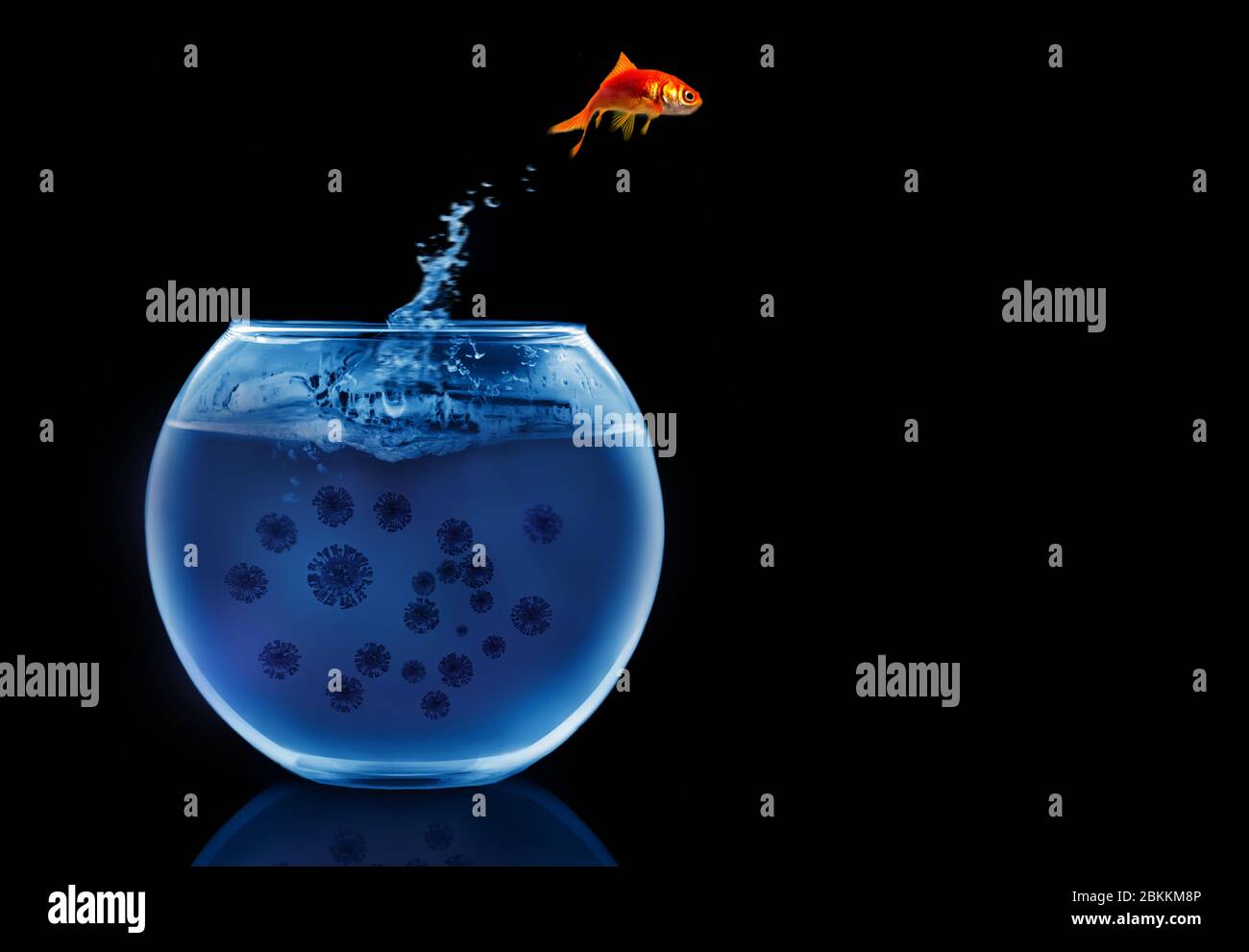 Gold fish jumping out of fish bowl hi-res stock photography and images ...