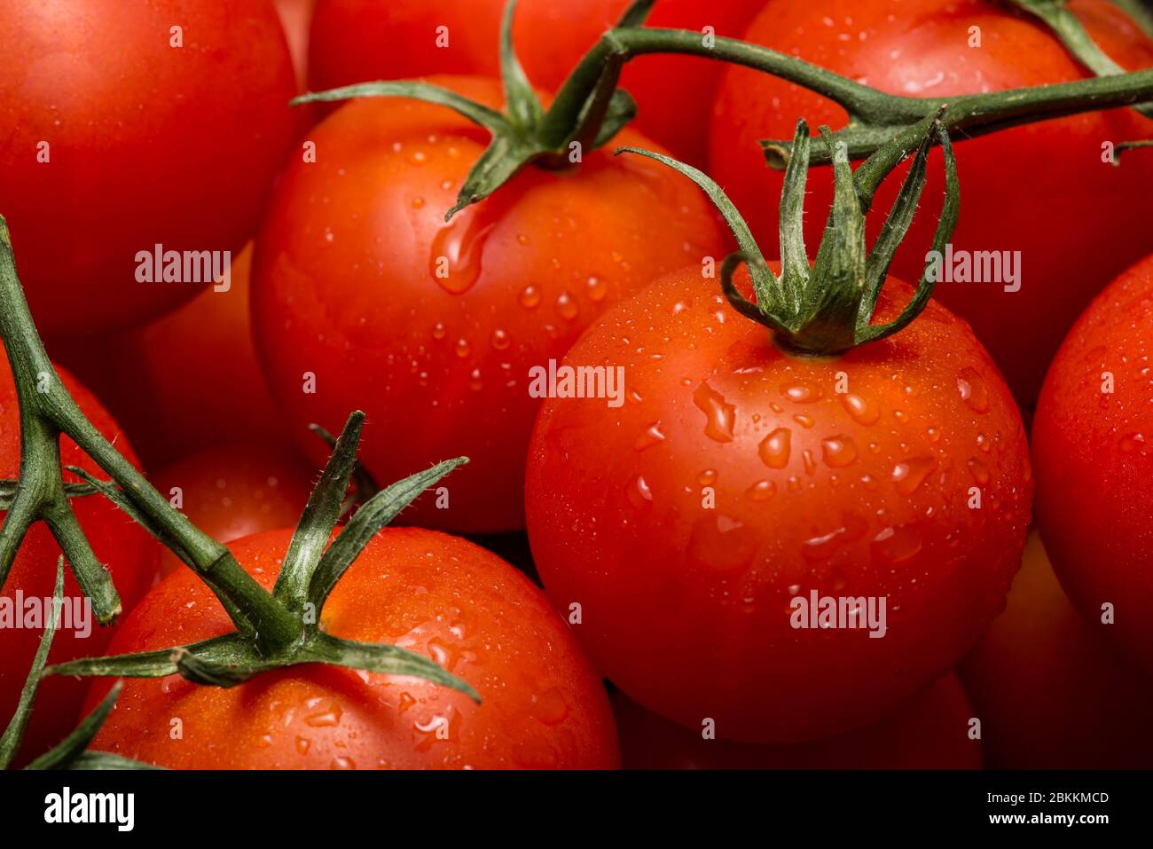 Juicy red tomatoes hi-res stock photography and images - Alamy