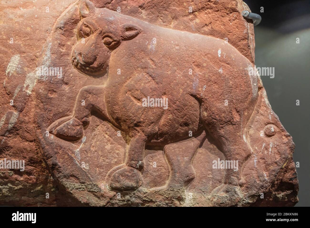 Bull sculpture, Bihar Museum, Patna, Bihar, India Stock Photo - Alamy