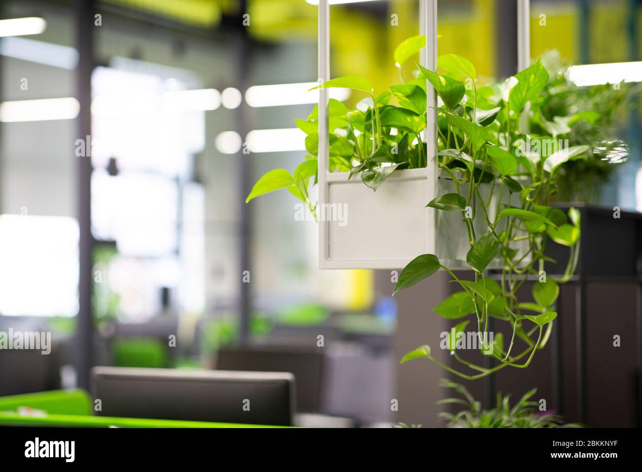 Office pots hi-res stock photography and images - Alamy