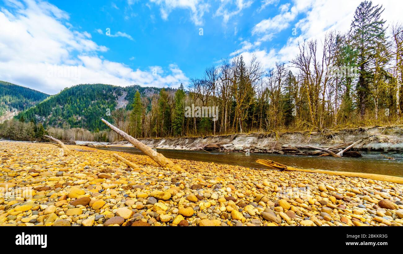 Logs stuck in the sand and Iron Oxide Stained rocks lining the shore at ...