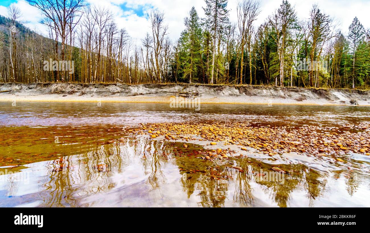Iron Oxide Stained rocks lining the shore at low water in the Squamish ...