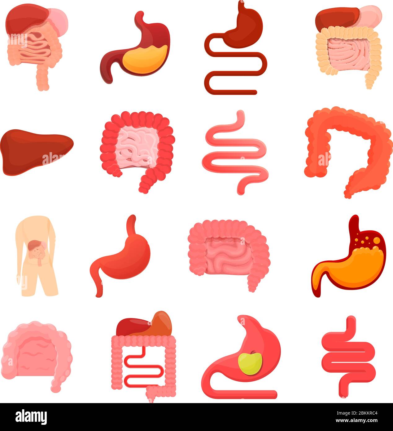 Digestion icons set. Cartoon set of digestion vector icons for web ...