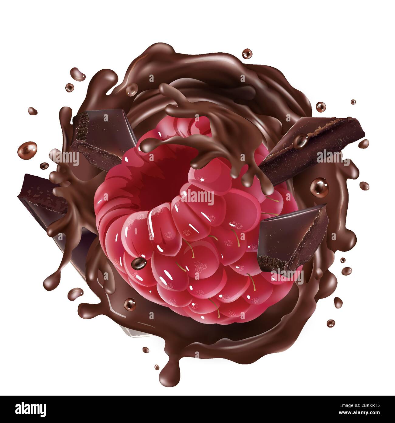 Raspberry with pieces and splashes of chocolate Stock Vector Image ...