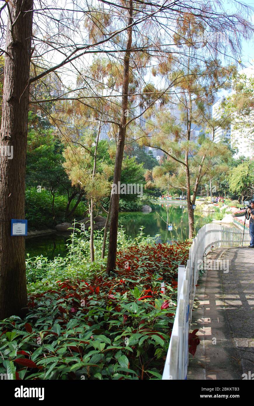 Hong kong public space hi-res stock photography and images - Alamy