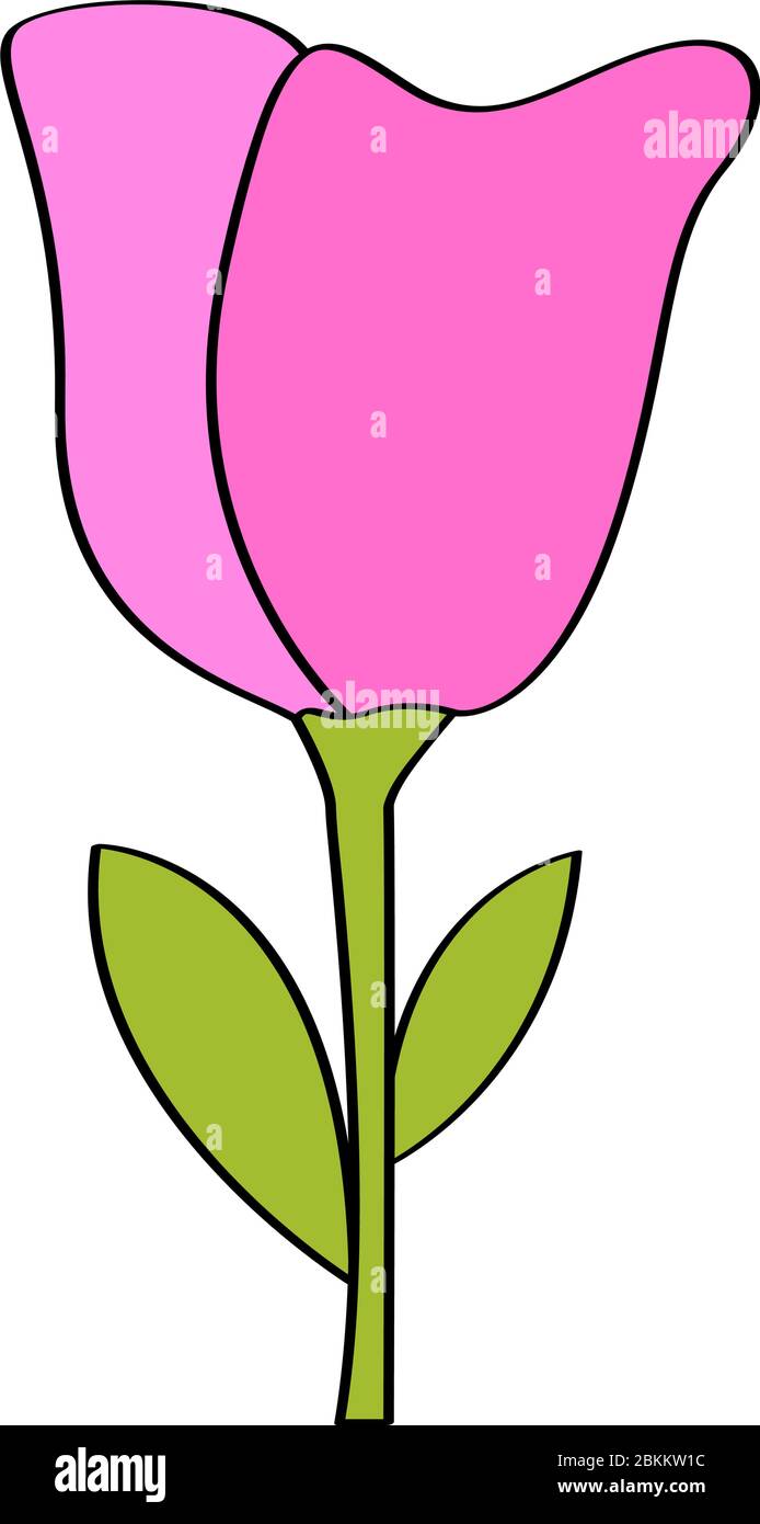 Isolated pink tulip icon. Spring time - Vector illustration Stock ...