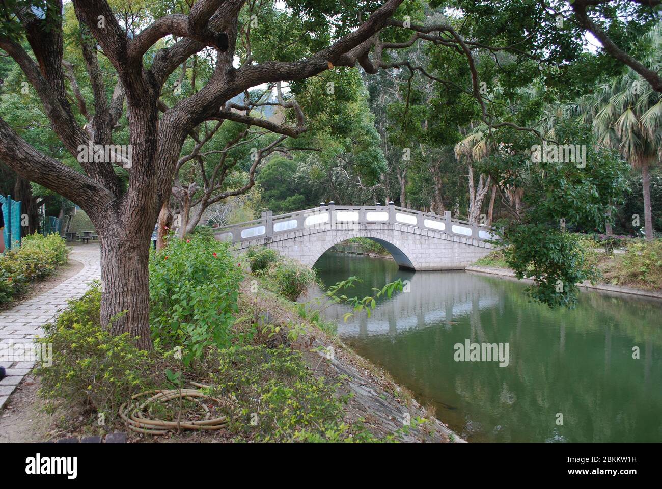 Traditional Classical Bridge Lake River Garden Park in Hong Kong Stock ...