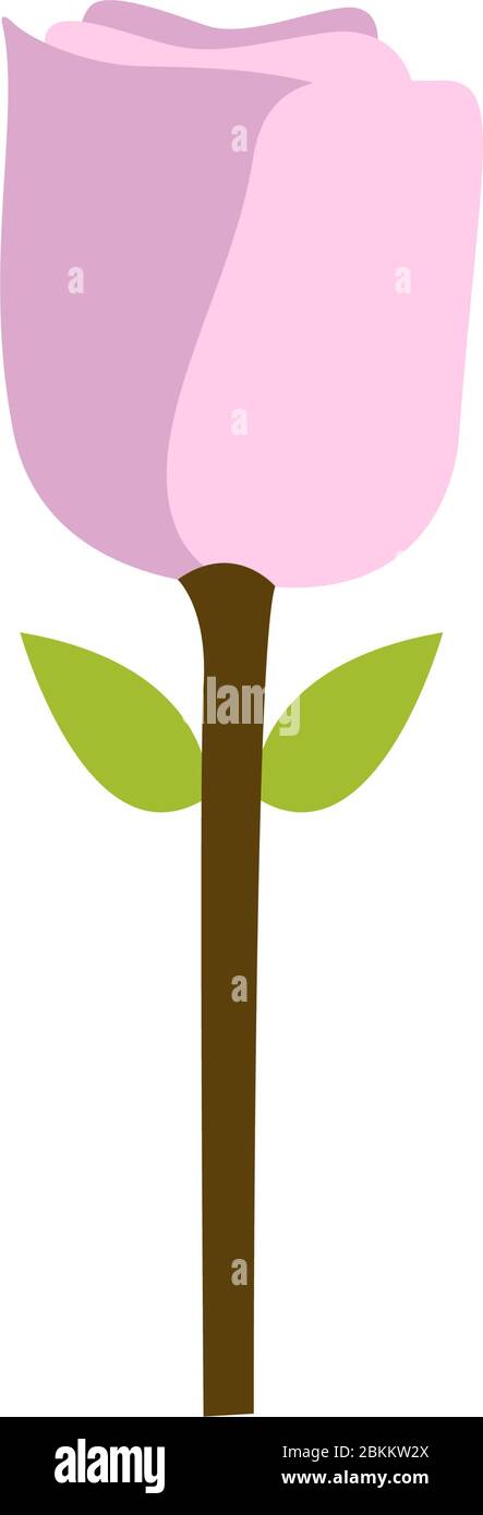 Isolated rose flower over a white background - Vector Stock Vector ...