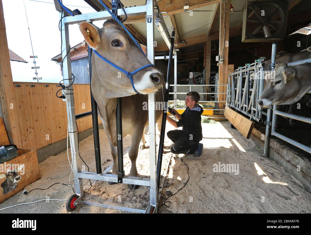 Guggemos hi-res stock photography and images - Alamy