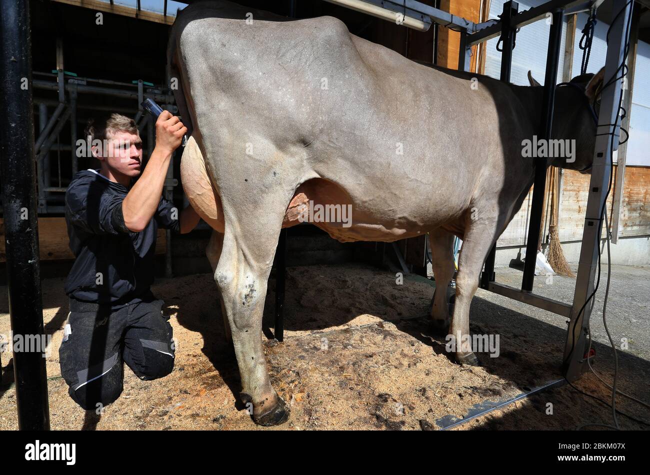 Karl granit hi-res stock photography and images - Alamy