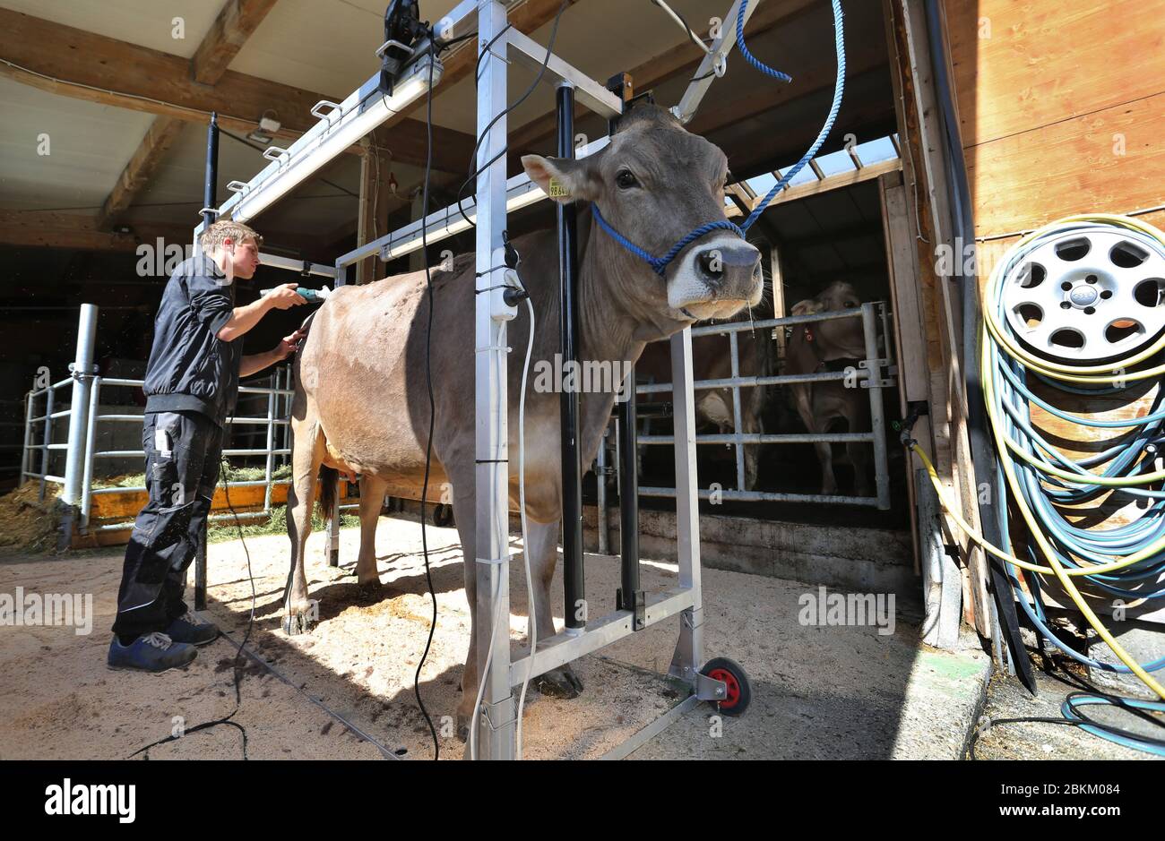 Karl granit hi-res stock photography and images - Alamy