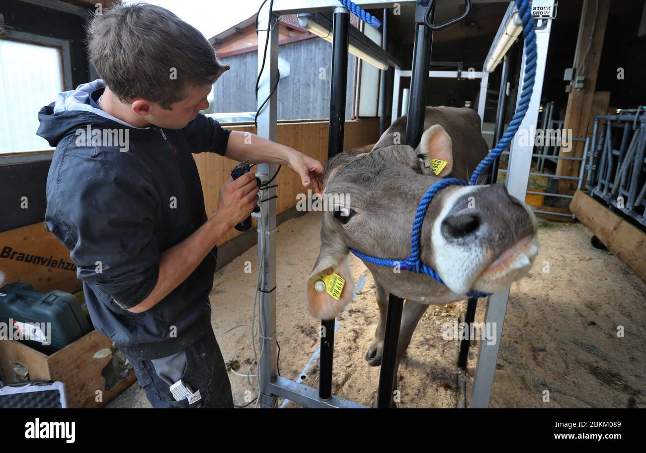 24 year old swiss hi-res stock photography and images - Alamy