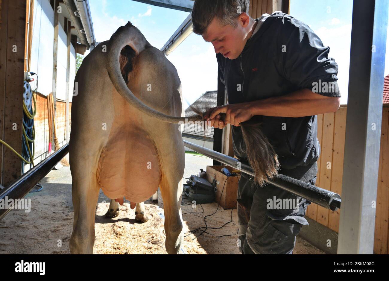 Karl granit hi-res stock photography and images - Alamy