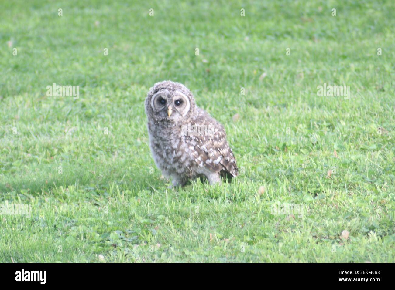 Mid western hi-res stock photography and images - Alamy