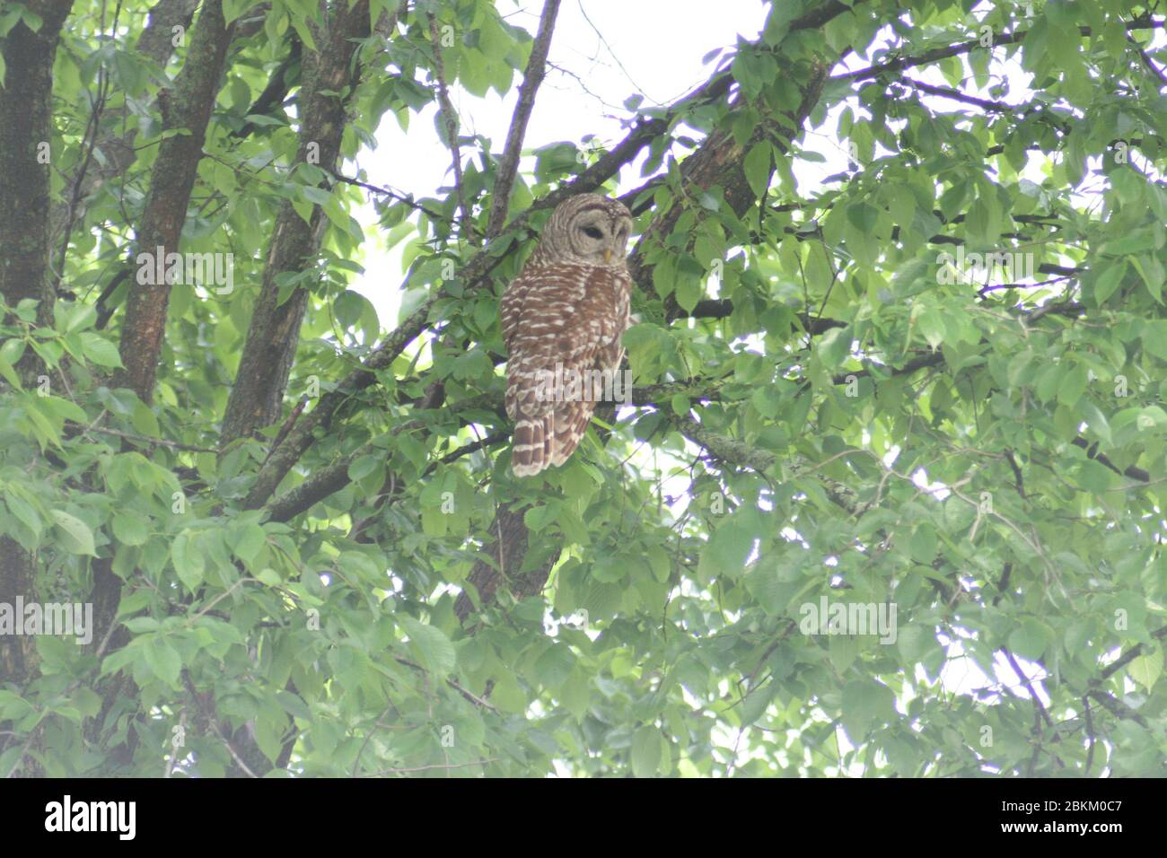 Mid western hi-res stock photography and images - Alamy