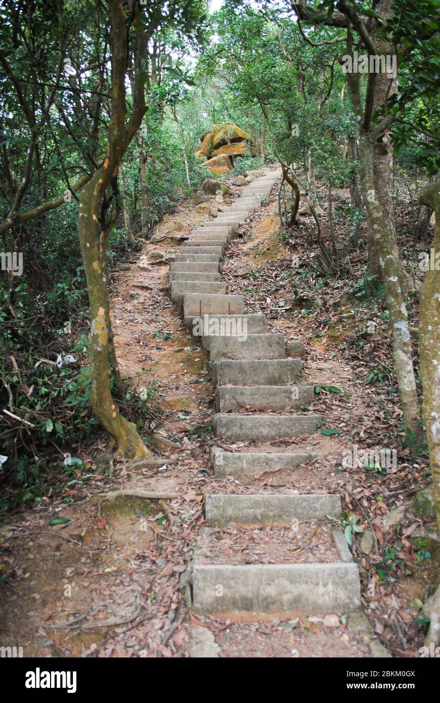 Hiking Route Path Concrete Steps Stairs in Mountains Forest New ...