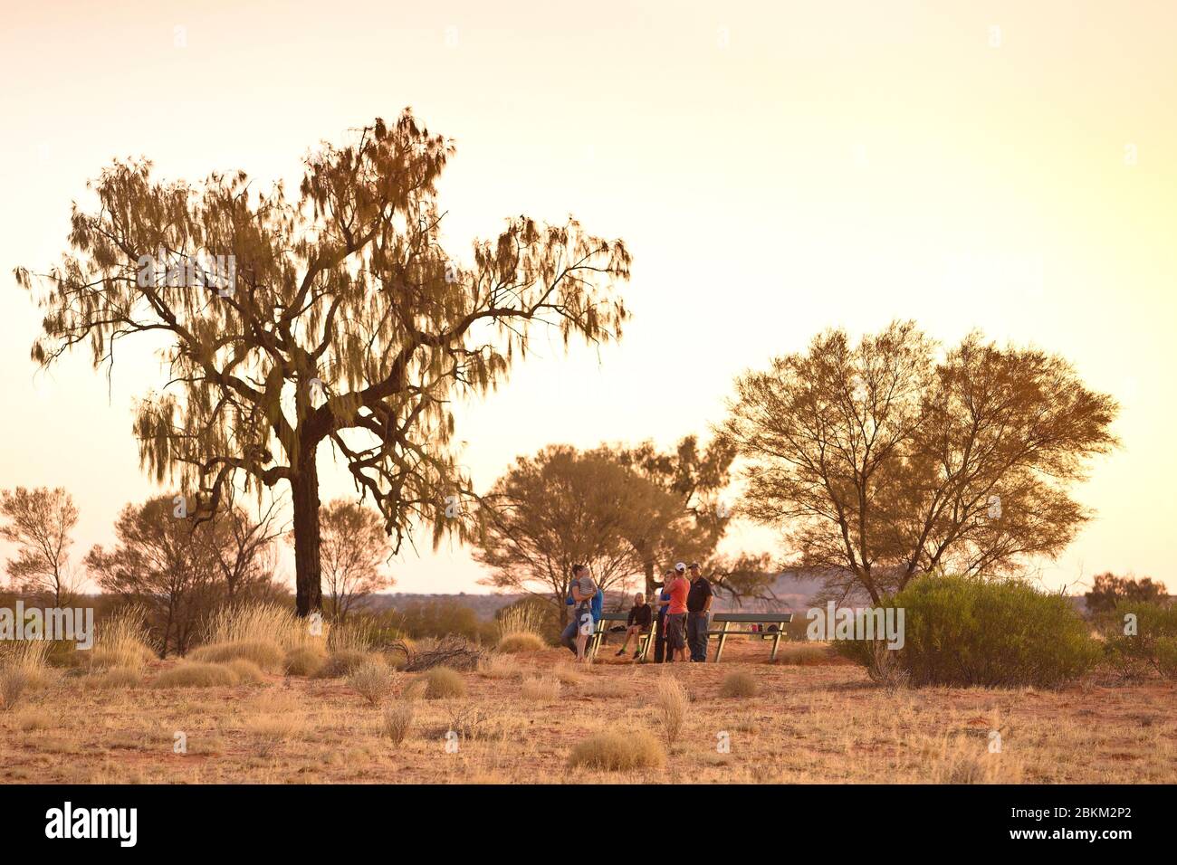 Travellers beneath desert oak trees at the Chambers Pillar sunset ...