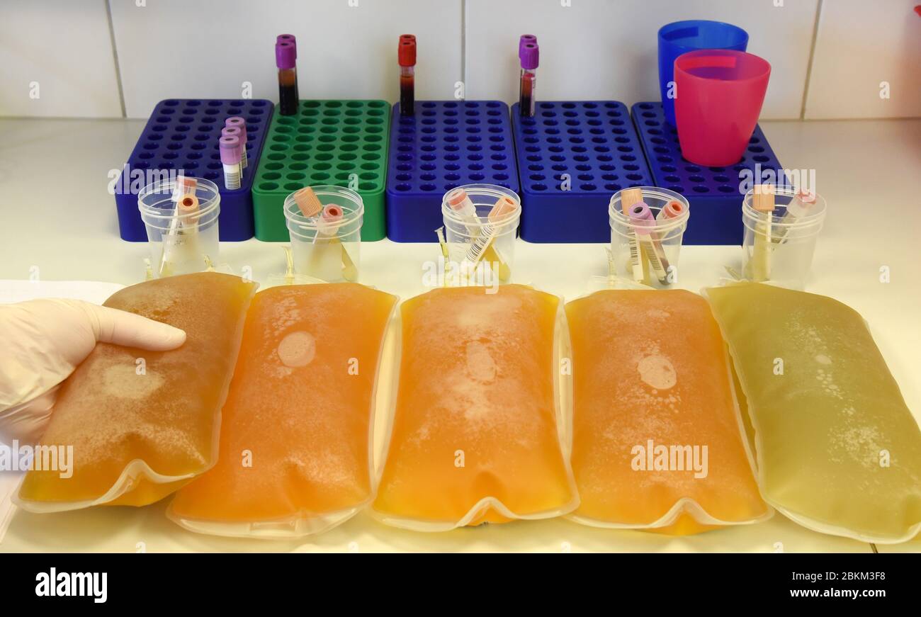 Blood plasma bag hi-res stock photography and images - Alamy
