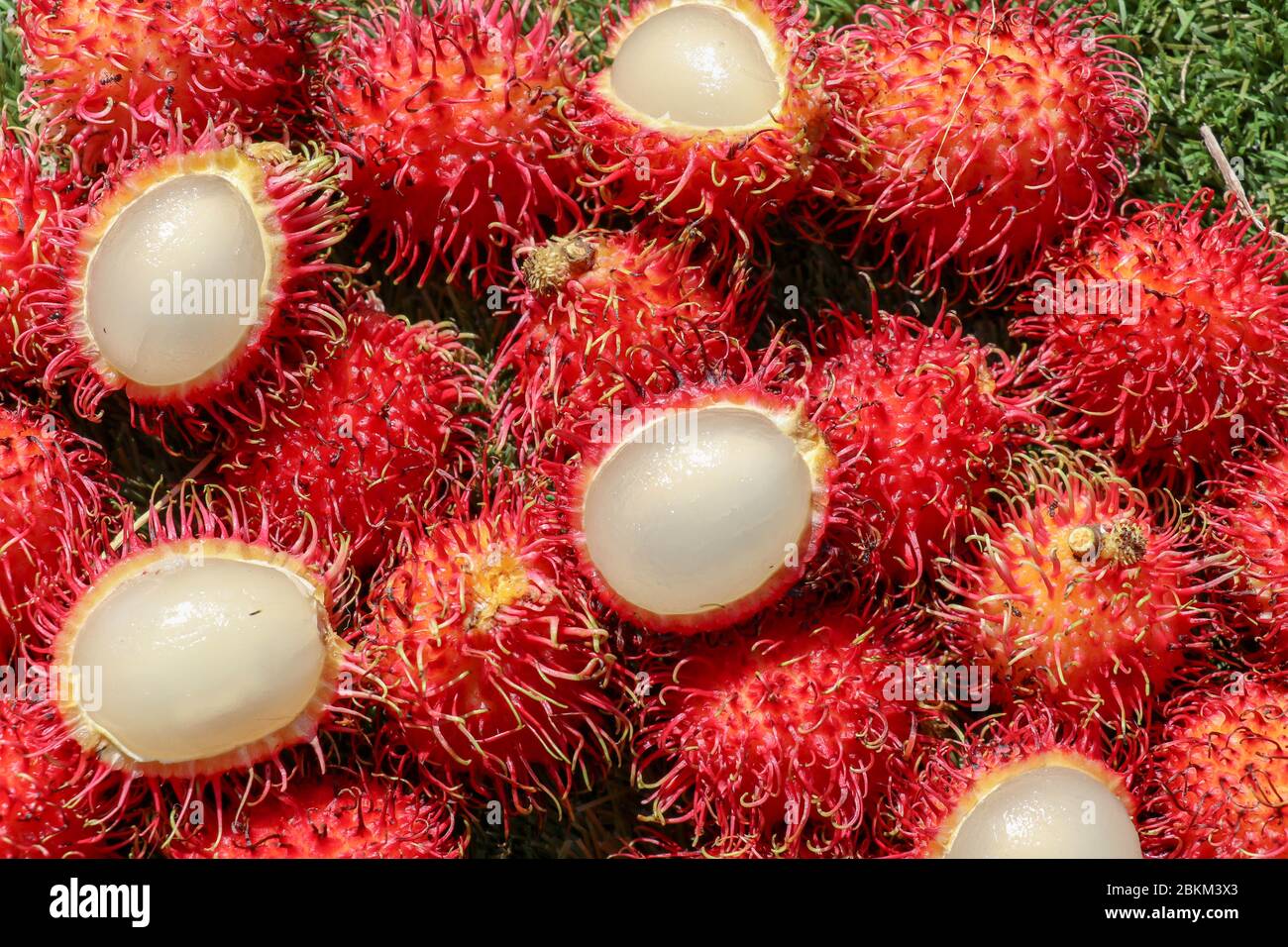 Full frame shoot of bunch of red rambutan fruits. Close up Rambutan ...