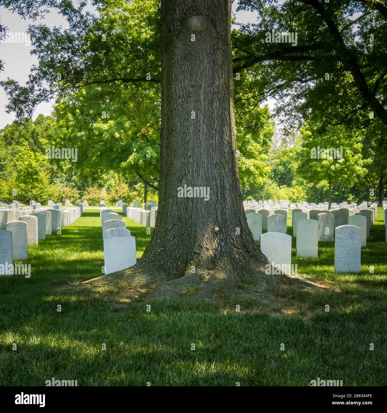 Memorial ceremony national cemetery hi-res stock photography and images ...