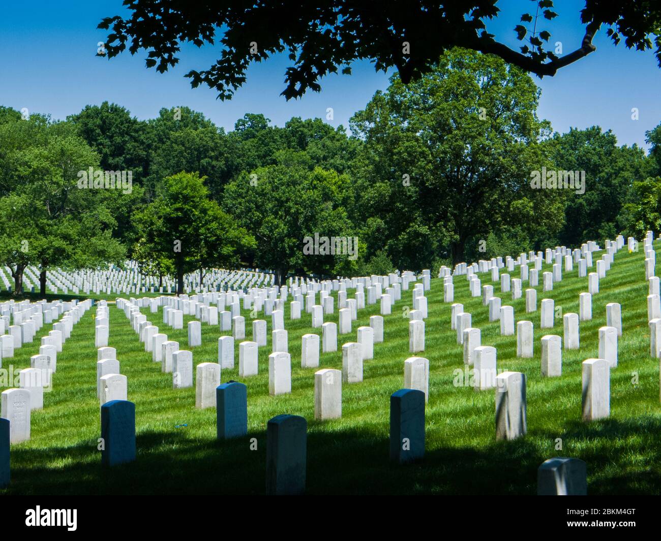 Arlington National Cemetery Virginia USA Stock Photo - Alamy