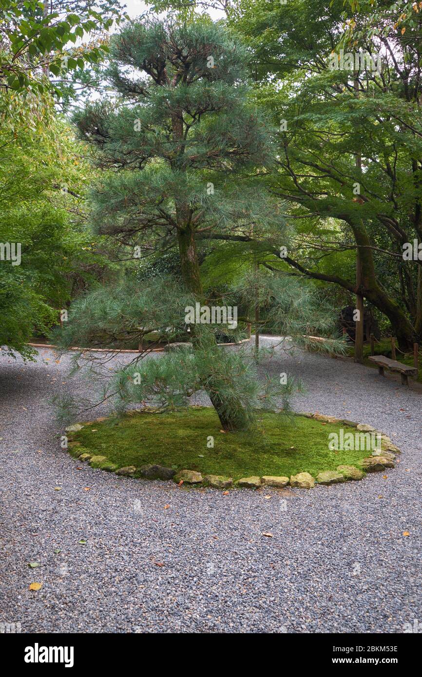 Kyoto alley hi-res stock photography and images - Alamy