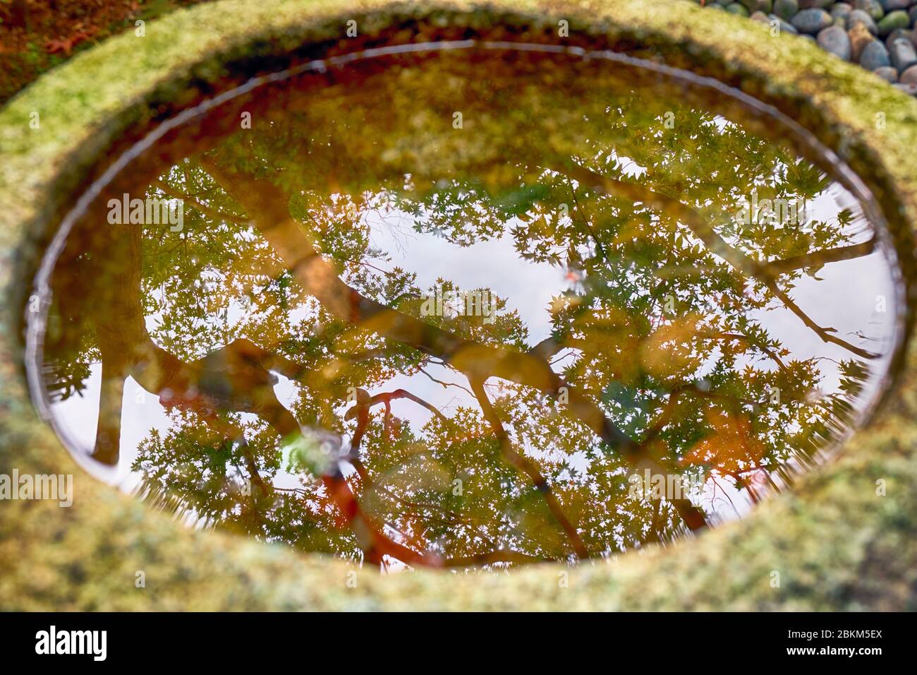 Water washbasin hi-res stock photography and images - Alamy