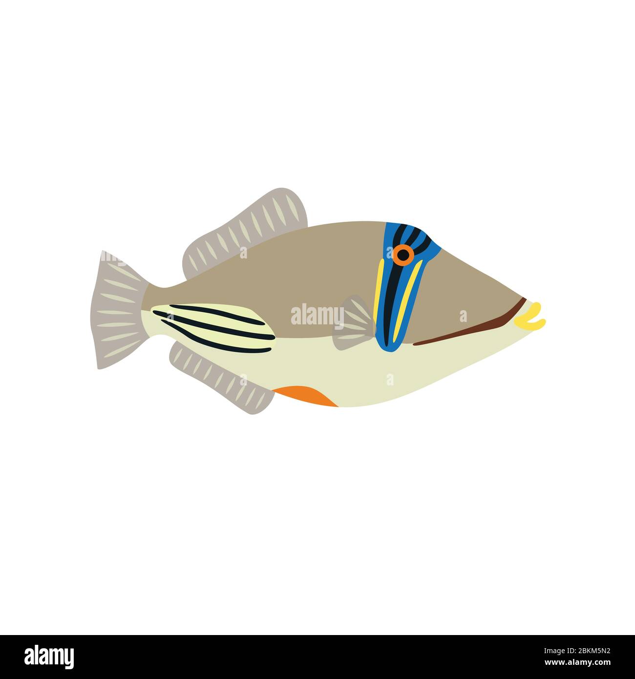 Picasso triggerfish fish icon on white background. Vector illustration ...