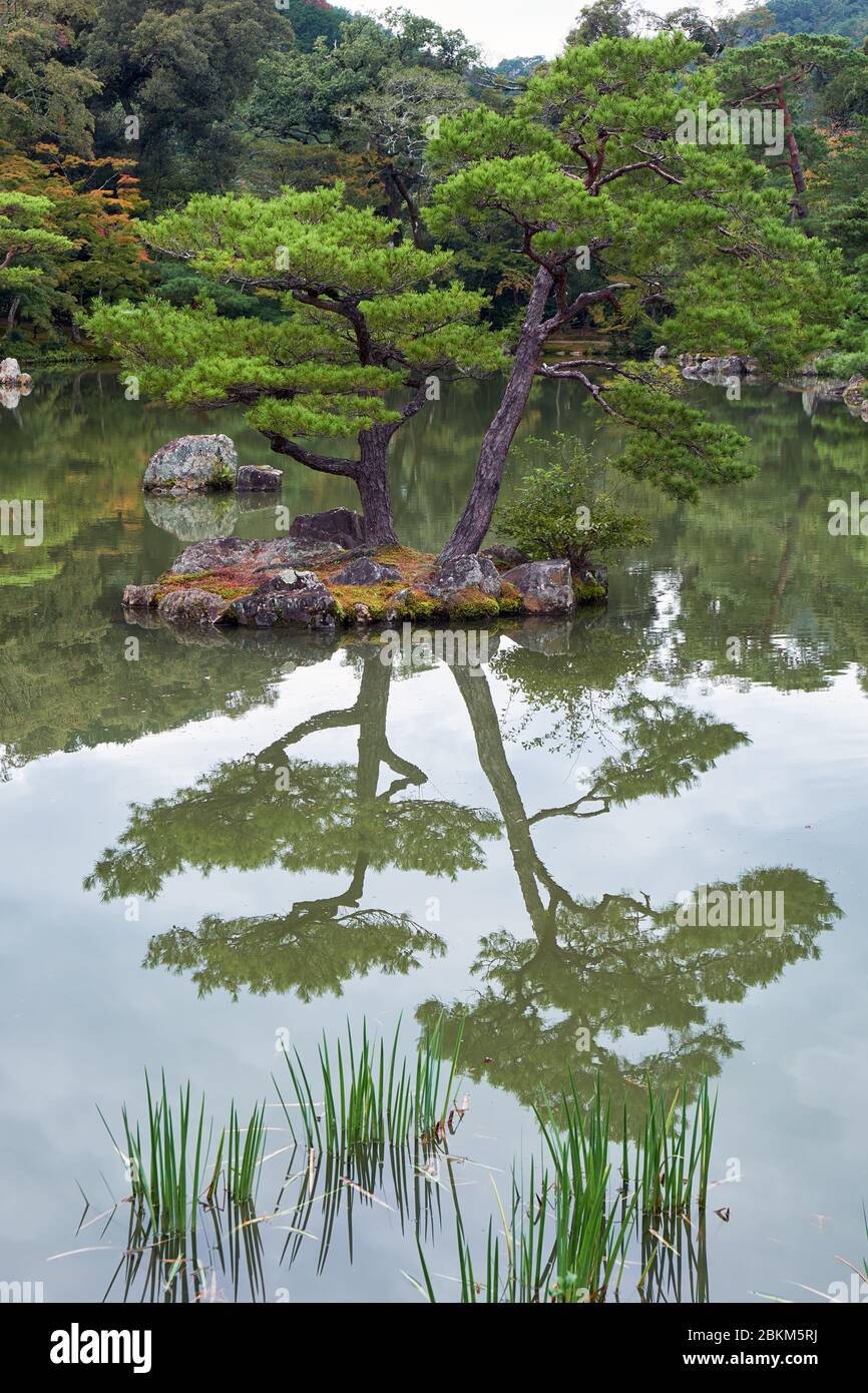 The pine trees on the islet reflecting in the water of the Kyoko-chi ...
