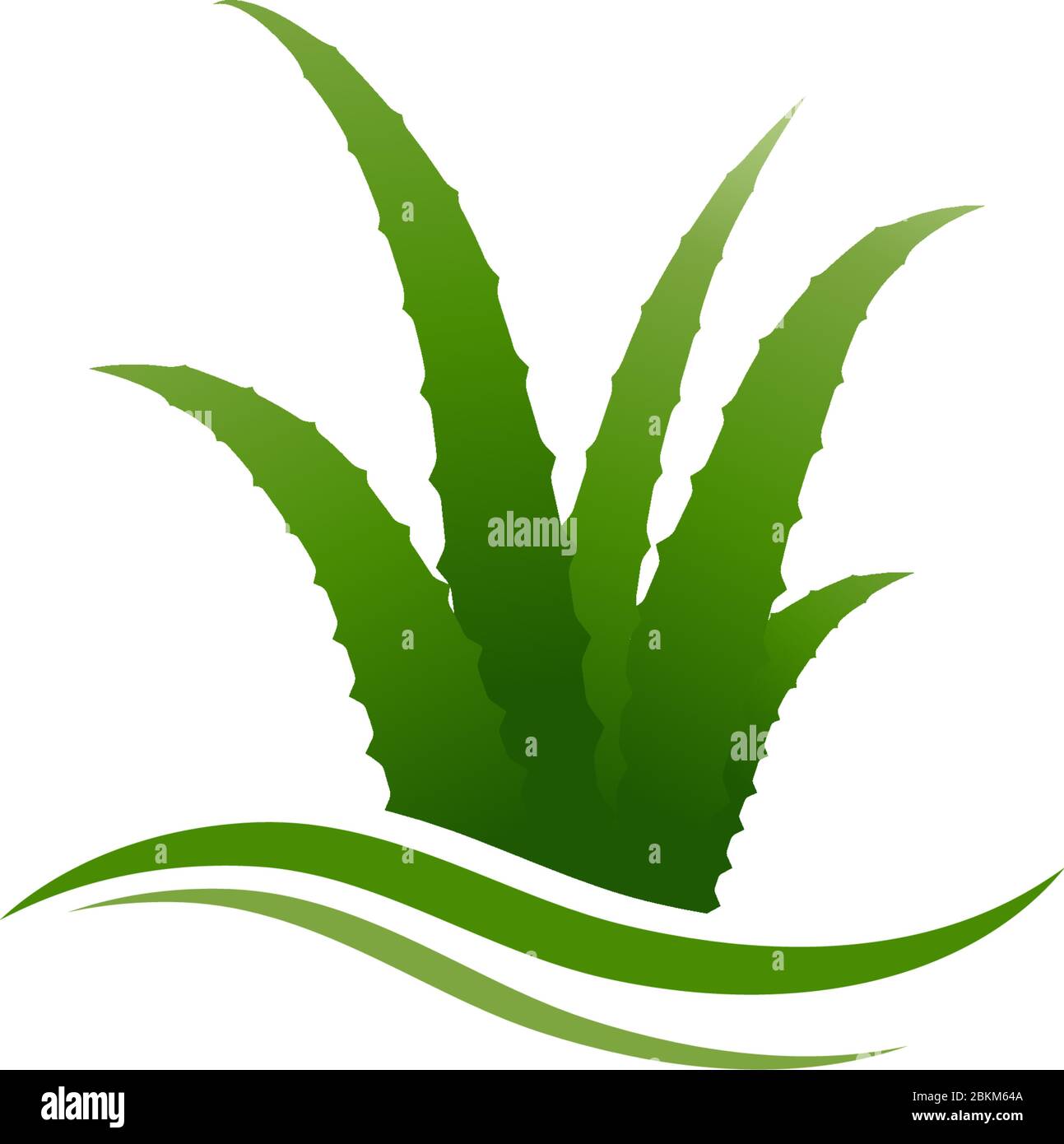 Aloe Vector