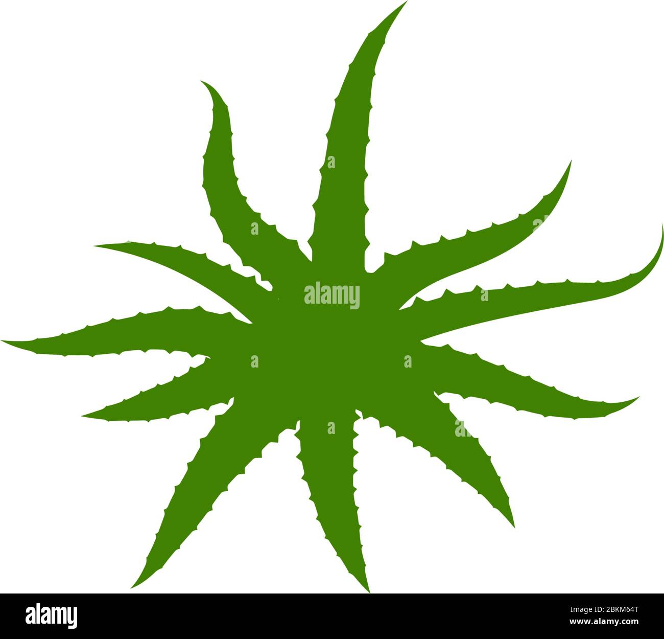 Aloe vera vector illustration design icon template Stock Vector Image ...