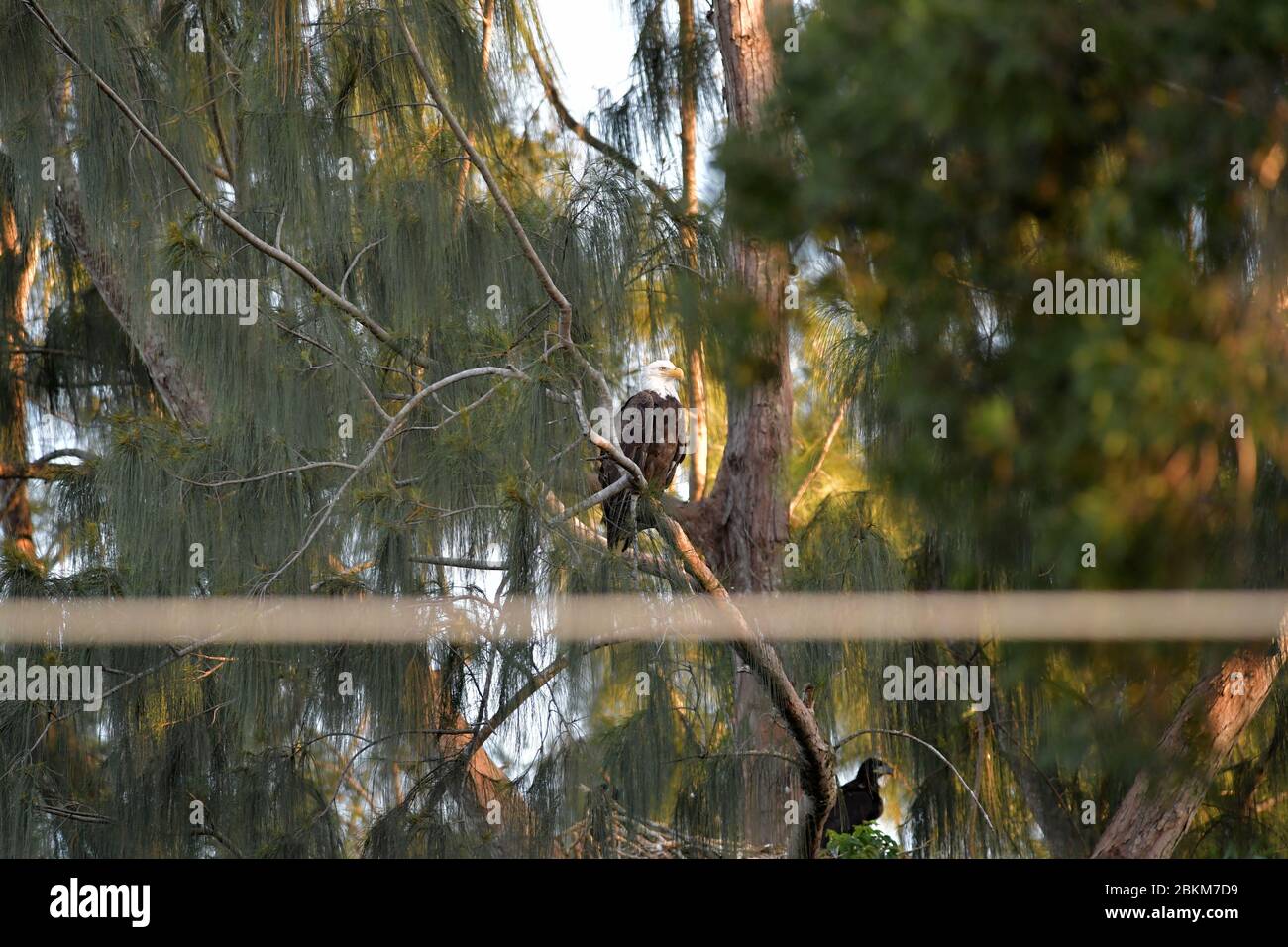 Miami, United States Of America. 04th May, 2020. MIAMI, FL - MAY 04 ...