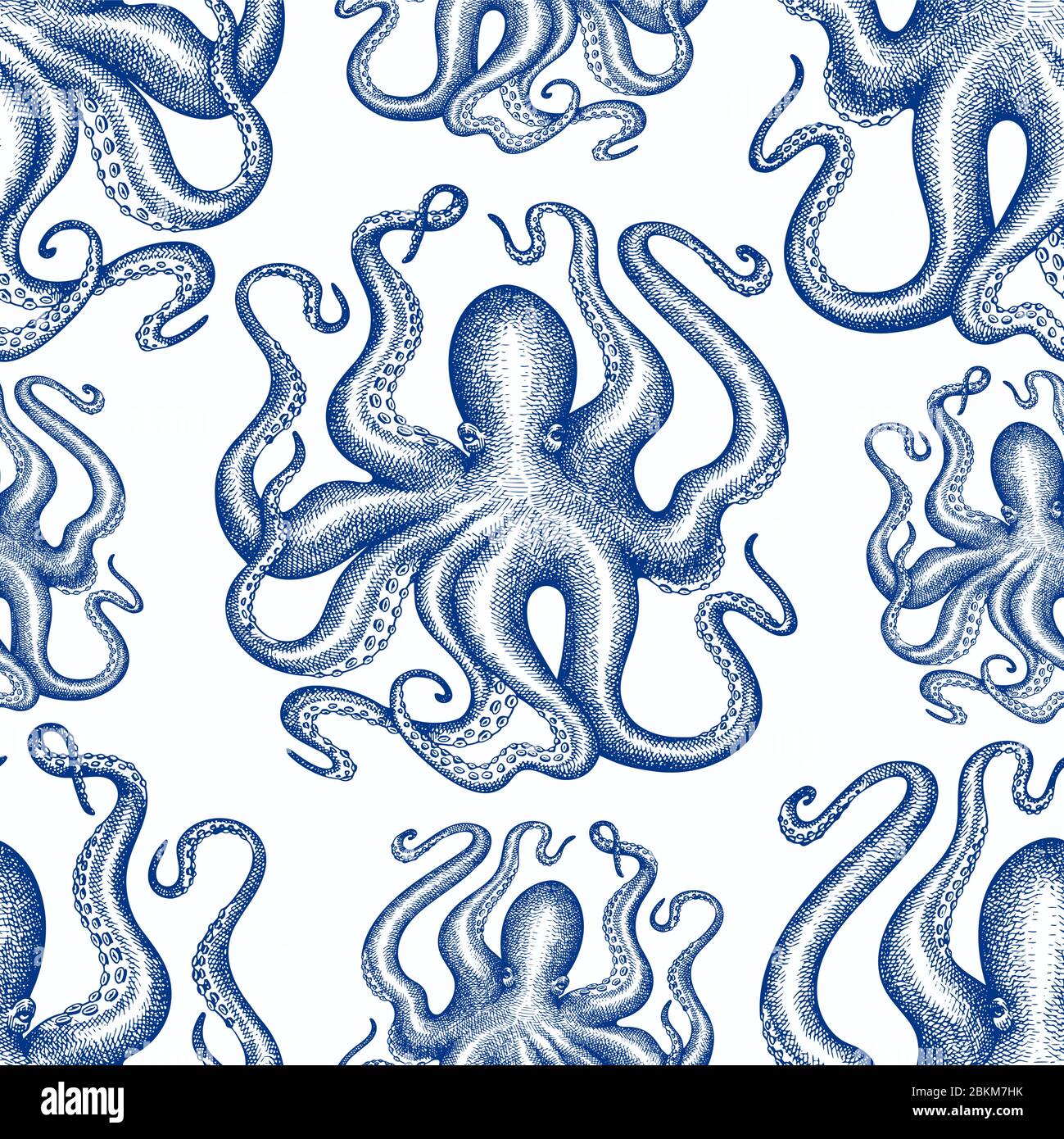 Octopus seamless pattern. Hand drawn vector seafood illustration. Retro ...