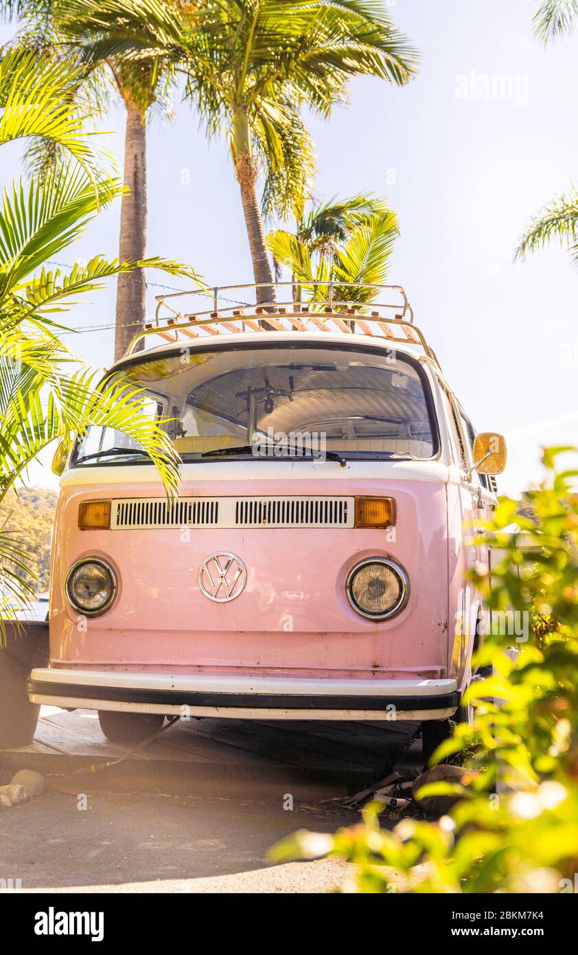 A pink VW campervan parked next to palm trees Stock Photo - Alamy