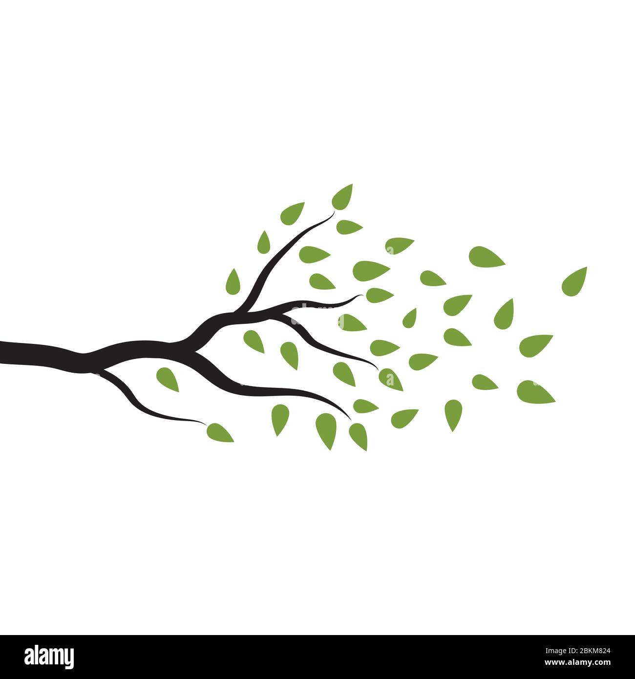 tree branch vector illustration design template Stock Vector Image ...